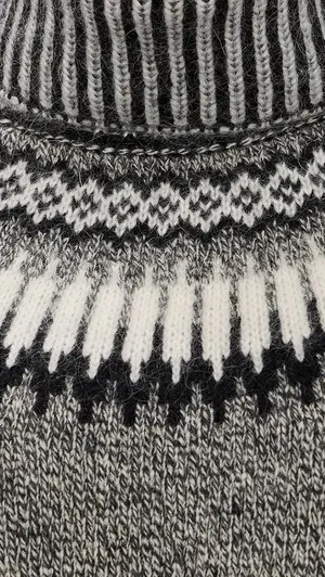 Monse Fair Isle Turtleneck Sweater