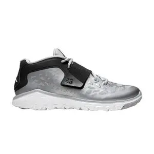 JORDAN Flight Flex Trainer 2 'wolf - Grey