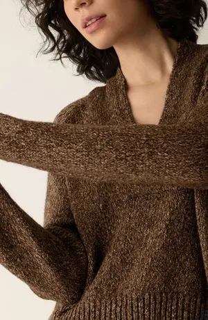 Eileen Fisher V-neck Sweater - Hazelwood