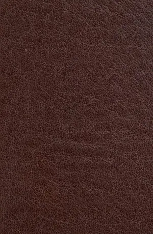 NILI LOTAN Nili Leather Belt