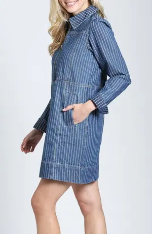 APNY The True Indigo Striped Denim Shift Dress