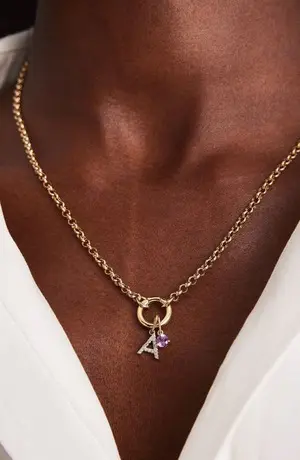 Mejuri Birthstone Charm - Amethyst
