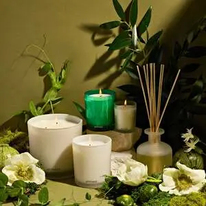 APOTHEKE Verdant Garden Votive Candle