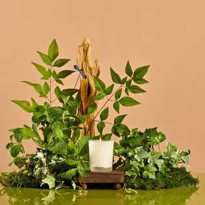 APOTHEKE Wild Mint And Ivy Votive Candle