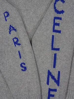 Celine Logo Wool Hoodie - Multicolor