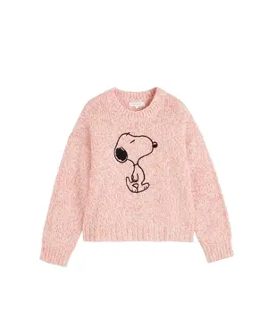Chinti & Parker Merino Snoopy Marl Sweater - Multi Pink