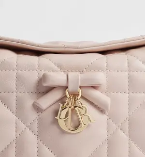 Dior Adiorable Top Handle Mini Bag - No