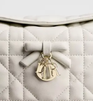 Dior Adiorable Top Handle Mini Bag