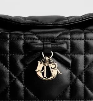 Dior Adiorable Top Handle Mini Bag