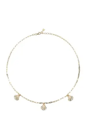 Mateo 3 Petite Venus Shell Necklace - Gold