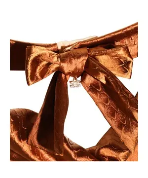 Elisabetta Franchi Bow-back Satin Maxi Dress
