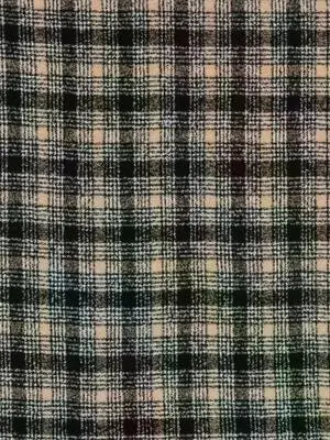Destin Check-pattern Frayed Scarf
