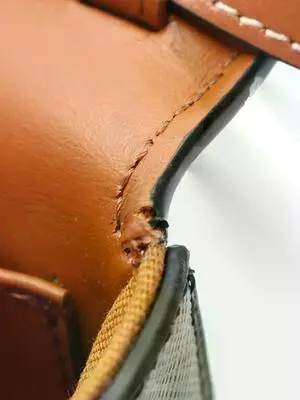 Celine 2000-2026 Mini Triomphe Coated Canvas Claude Crossbody Bag