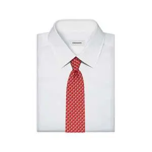 FERRAGAMO Ties & Bow Ties