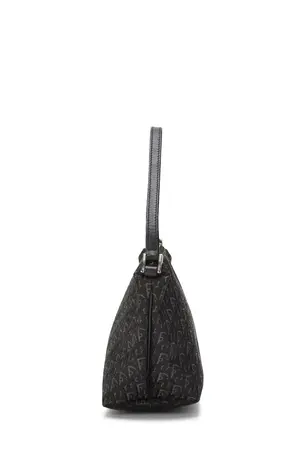 Dior Canvas Trotter Pouch