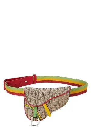 Dior Multicolor Rasta Saddle Belt Bag