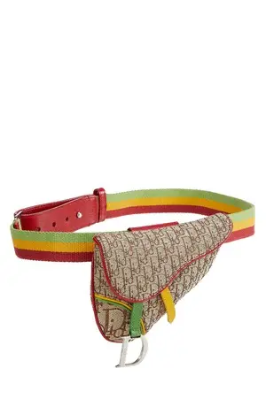 Dior Multicolor Rasta Saddle Belt Bag