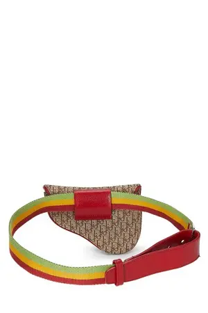 Dior Multicolor Rasta Saddle Belt Bag
