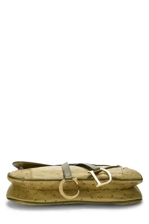 Dior Ostrich Double Saddle Bag - Green