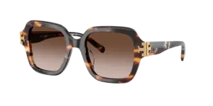 Tory Burch Sunglass Ty7231u - Brown Gradient