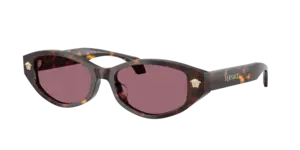 Versace Sunglass Ve4512d Violet