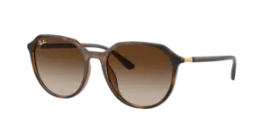 Ray-ban Sunglass Rb4415l Brown
