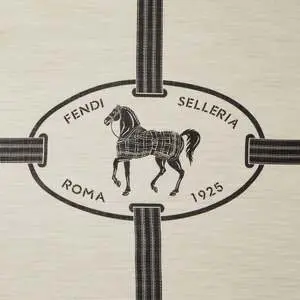 Fendi Selleria Shawl - Grey