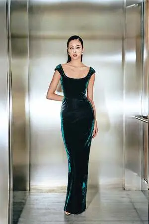 SAU LEE Brooke Velvet Gown