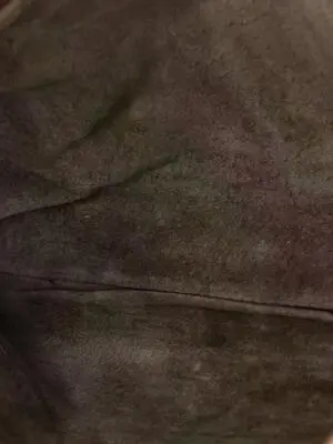 Bottega Veneta Roma Bag Intrecciato Nappa Medium Tote Bag