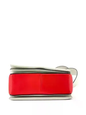 Celine Frame Leather Medium Shoulder Bag - Green