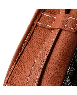 Goyard Pm Belvedere Ii Messenger Bag Coated Canvas