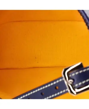 Goyard Hirondelle Shoulder Bag Coated Canvas And Leather