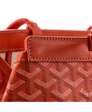 Goyard Pm Bellechasse Bag Coated Canvas
