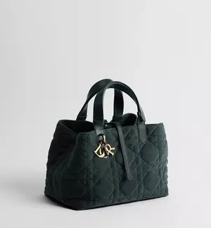 Dior Medium Toujours Bag