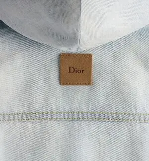 Dior Medaillon Embroidered Hooded Jacket