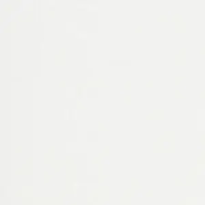 Max Mara Cotton Shirt - White