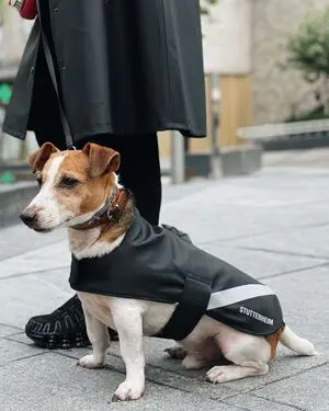 Stutterheim Dog Raincoat - Black