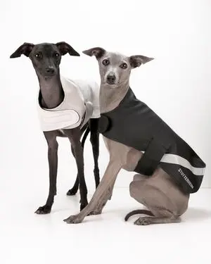 Stutterheim Dog Raincoat - Black