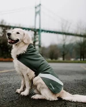 Stutterheim Dog Raincoat - Green