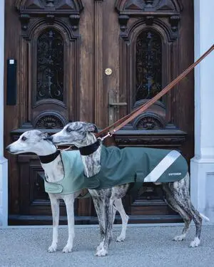 Stutterheim Dog Raincoat - Green