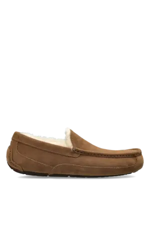 UGG Suede 'ascot' Shoes - Brown