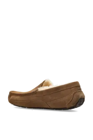 UGG Suede 'ascot' Shoes