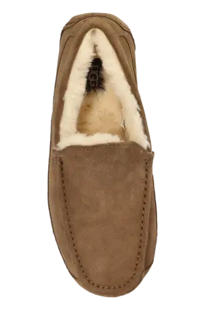UGG Suede 'ascot' Shoes