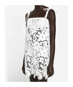 Dolce & Gabbana Dolce Gabbana Floral Openwork Embroidered Mini Dress