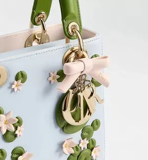 Dior Small Lady Bag With Strap