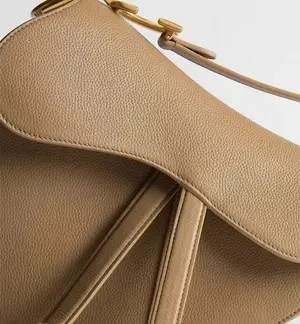 Dior Saddle Bag With Strap - No