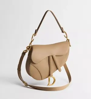 Dior Saddle Bag With Strap - No