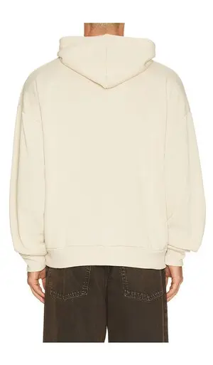 REASON Taz Chenile Patch Po Hoodie In Brown