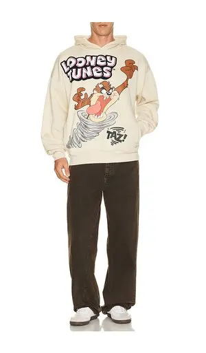 REASON Taz Chenile Patch Po Hoodie In Brown