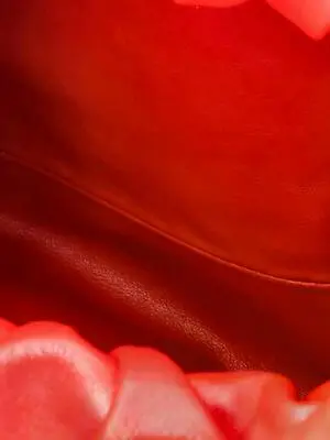 Bottega Veneta The Shoulder Pouch Leather Medium Hobo Bag - Red
